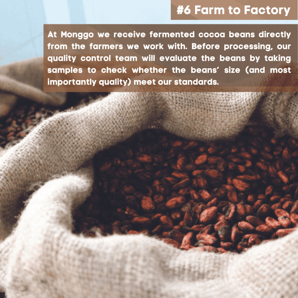 About Monggo – Chocolate Monggo